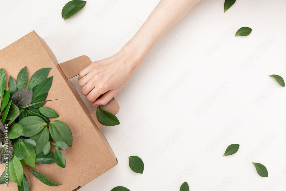 Eco cardboard box from natural recyclable materials with green leaves ...
