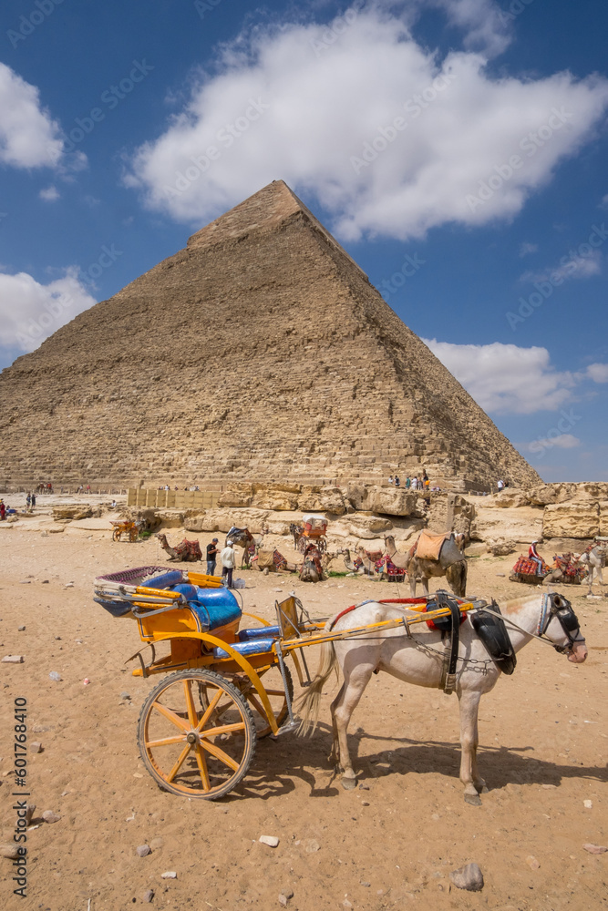 Calesa de caballos frente a la pirámide de Kefrén en el Valle de Guiza ...