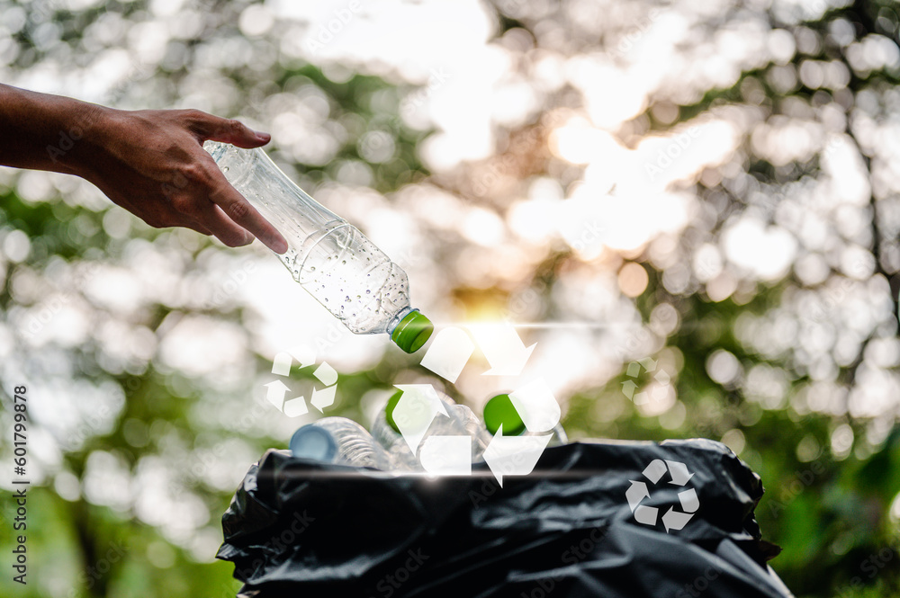 recycle, eco, plastic, plastic bottle, recycling, environmental, reuse ...