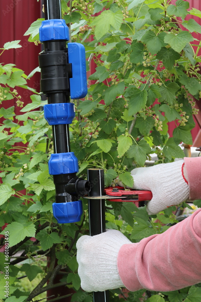 Installation of fittings on low-pressure polyethylene pipes Stock Photo ...