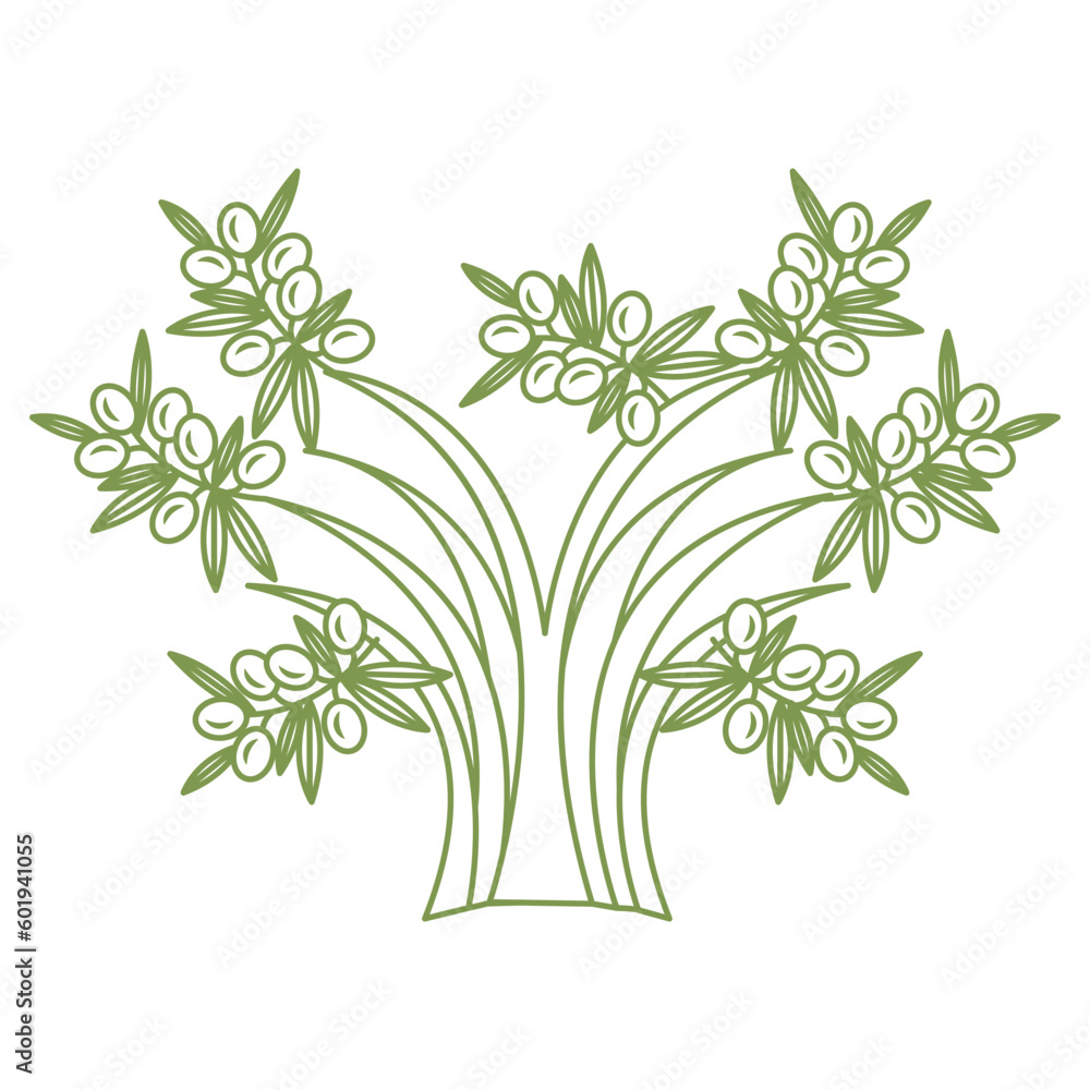 Olive tree with fruits and leaves. Simple icon in doodle style. Vector ...