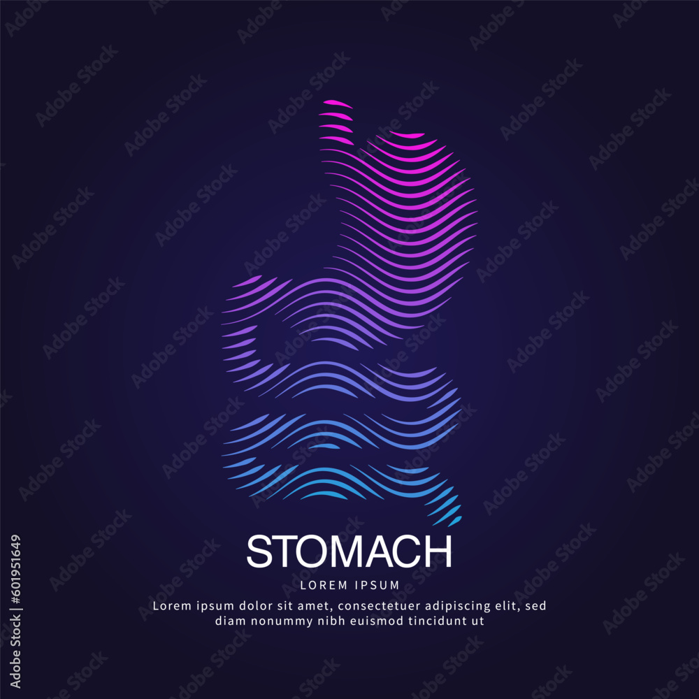 Human stomach medical structure. simple line art stomach Vector ...
