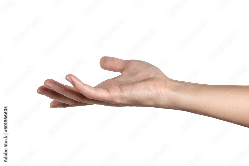 Woman hand shows open palm isolated on white background, with clipping ...