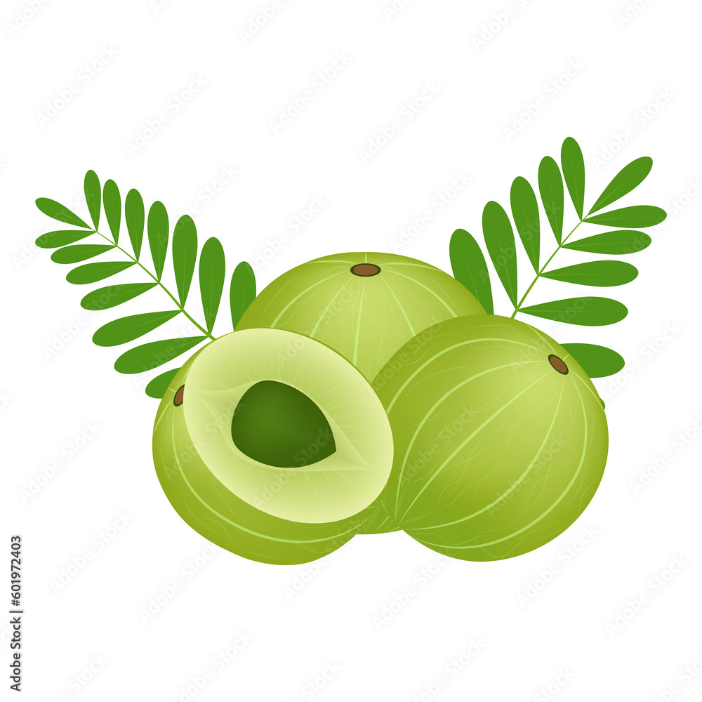 Indian gooseberry. Fruit with amla seed and green leaves. 3d ...
