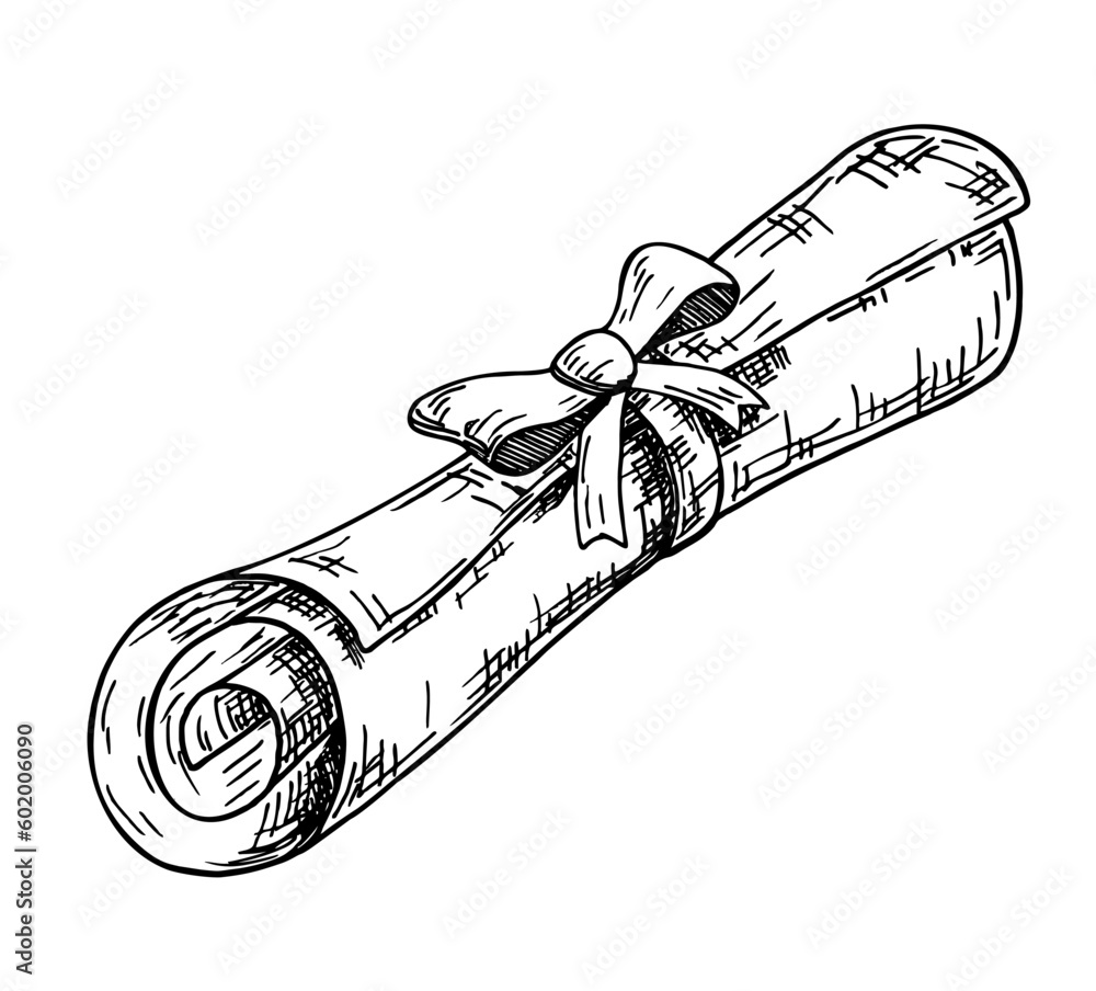 Diploma, close up of paper scroll with ribbon isolated on white ...