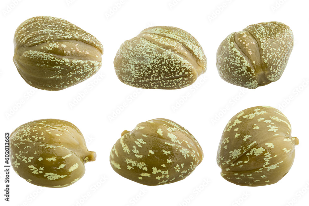 caper isolated on white background, full depth of field Stock Photo ...
