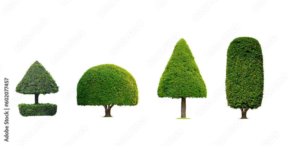 Group of Decorative Topiary Trees in various shaped isolated on ...