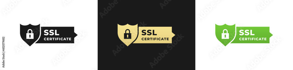 SSL certificate label or SSL certificate sign vector isolated in flat ...