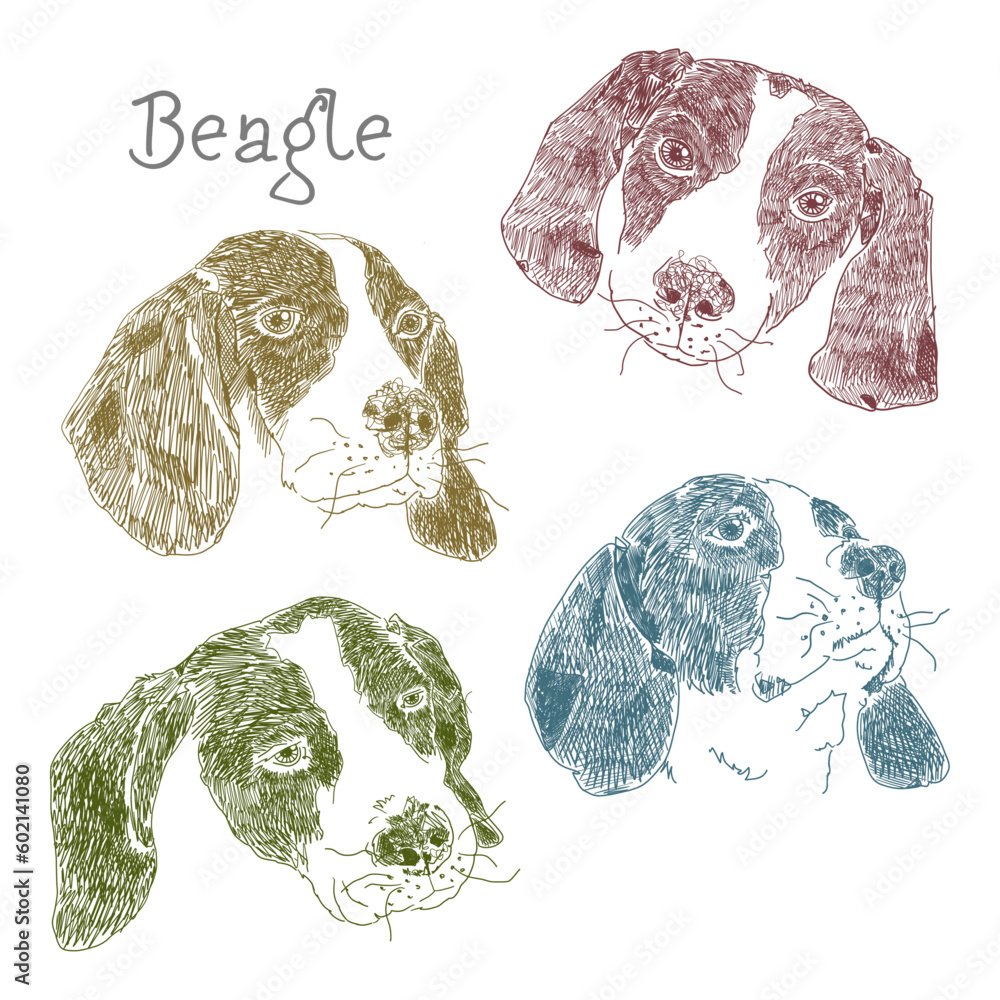 four cool beagle faces, line art set Stock Vector | Adobe Stock