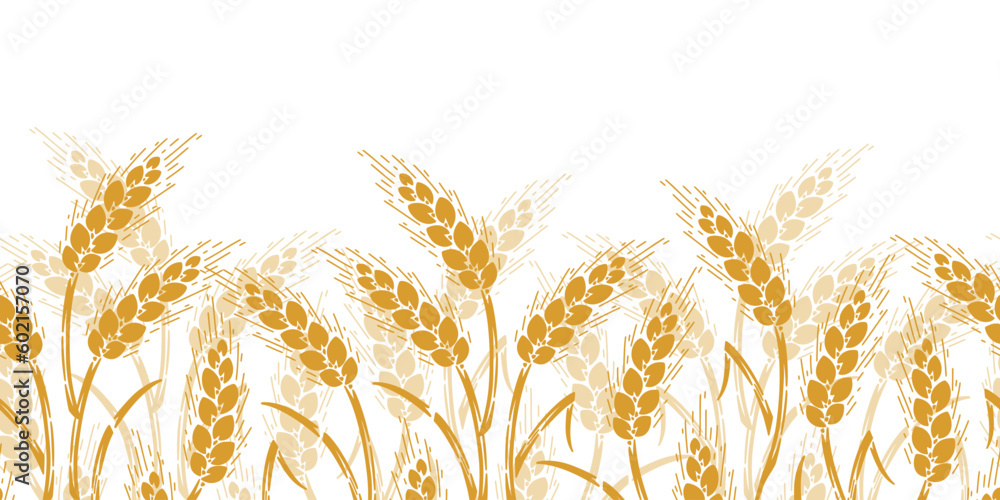 Vector Seamless Horizontal Border Pattern of Grain Spikes, Ears of ...