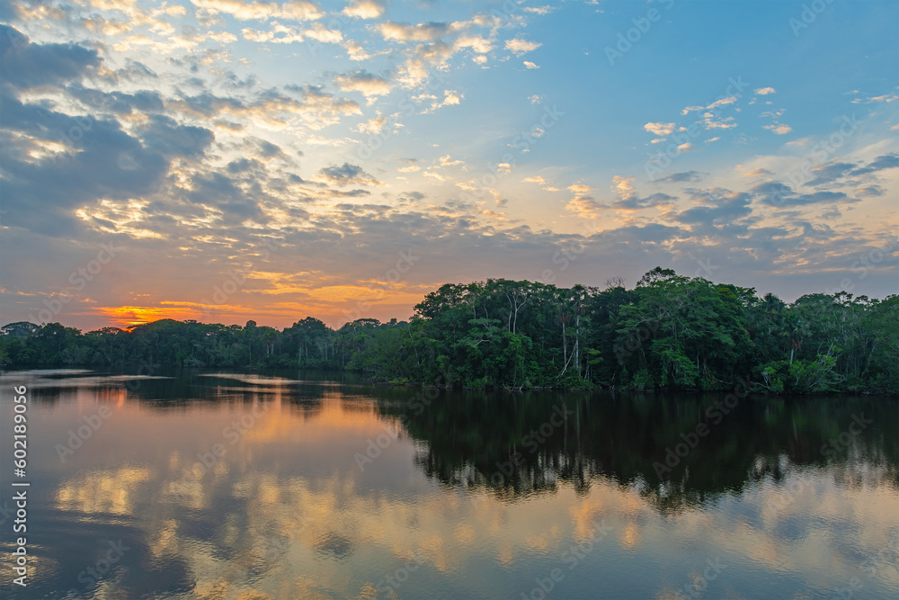 Poster Amazon rainforest river sunrise, Yasuni national park, Ecuador ...