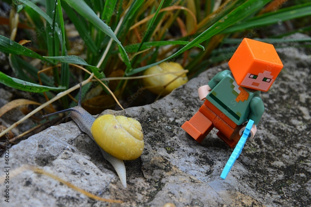 LEGO Minecraft toy plastic figure of Alex walking next to Common Garden ...
