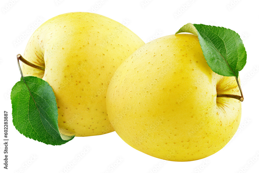 Two yellow apple fruit with green leaf isolated on transparent ...