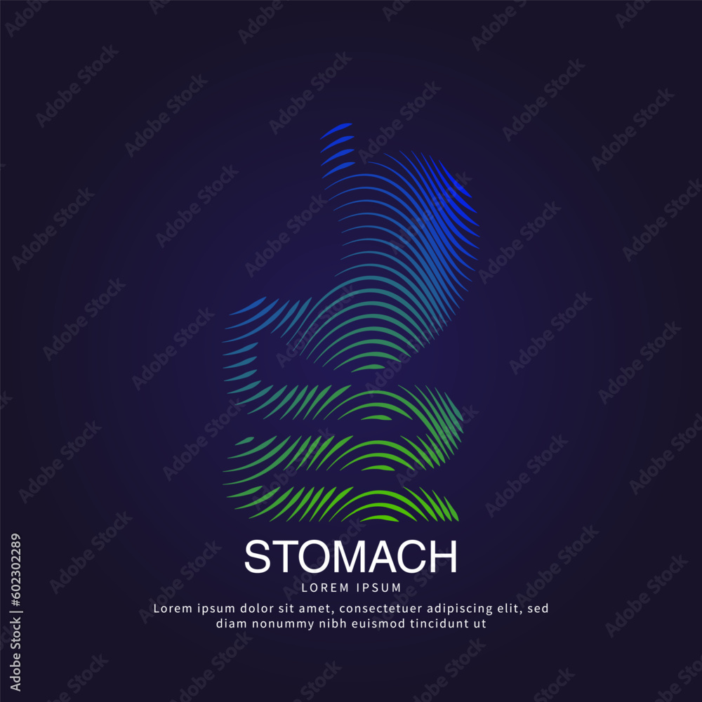 Human stomach medical structure. Vector logo stomach care color ...