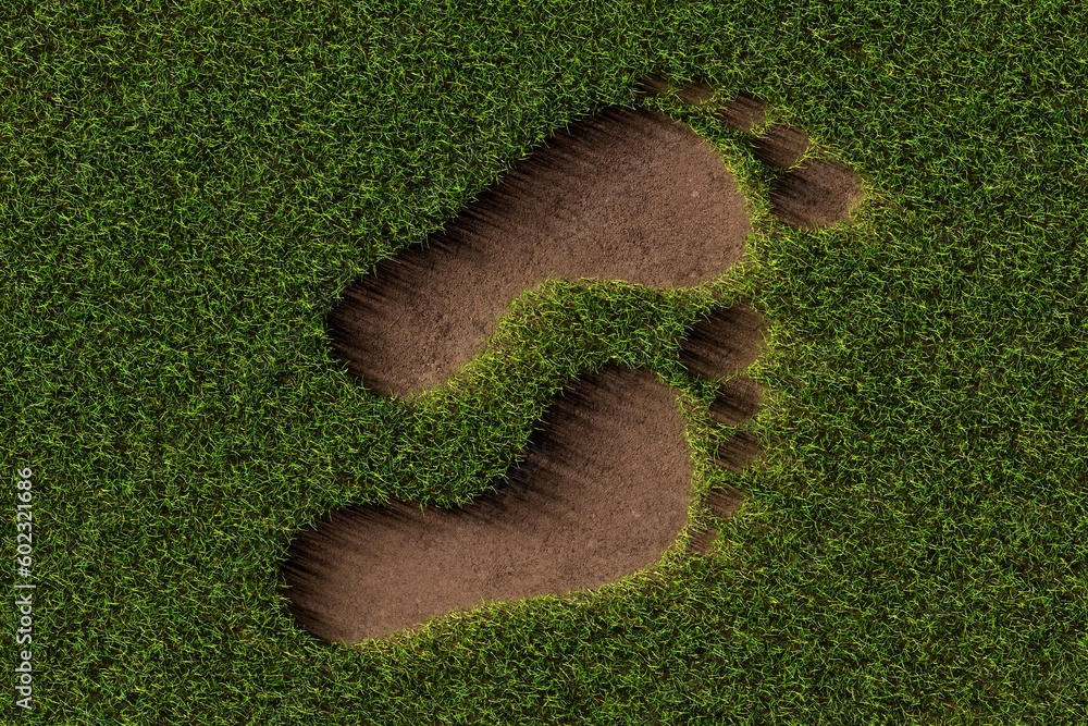 Two brown soil footprint shape symbols cutout from grass background ...