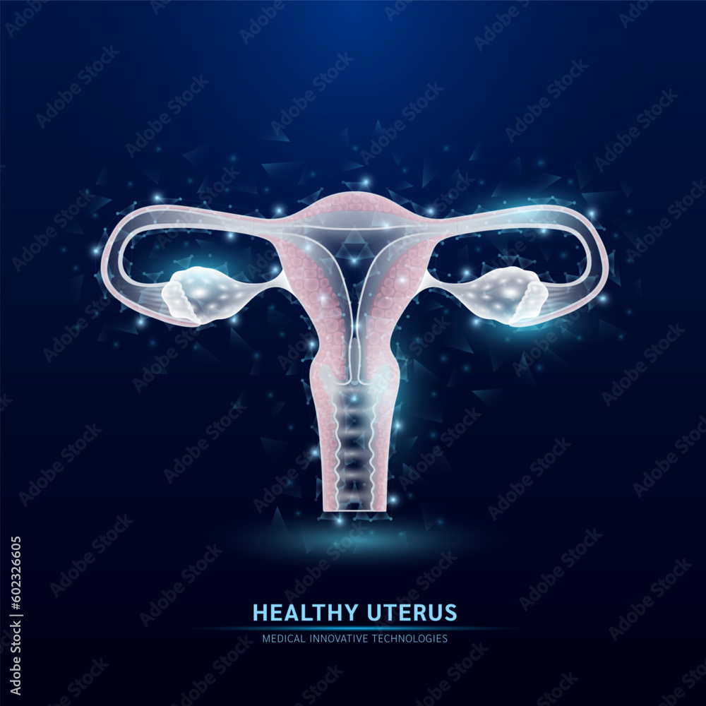 Female uterus white translucent low poly triangles on dark blue ...
