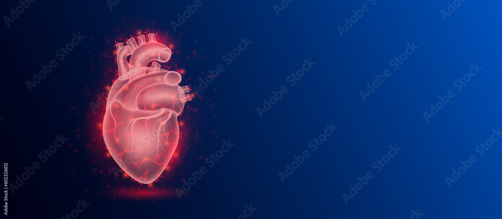 Human heart anatomy red translucent low poly triangles on dark blue ...