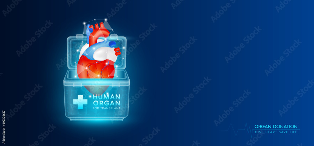 Donor organ. Human heart in cooler box translucent low poly triangles ...