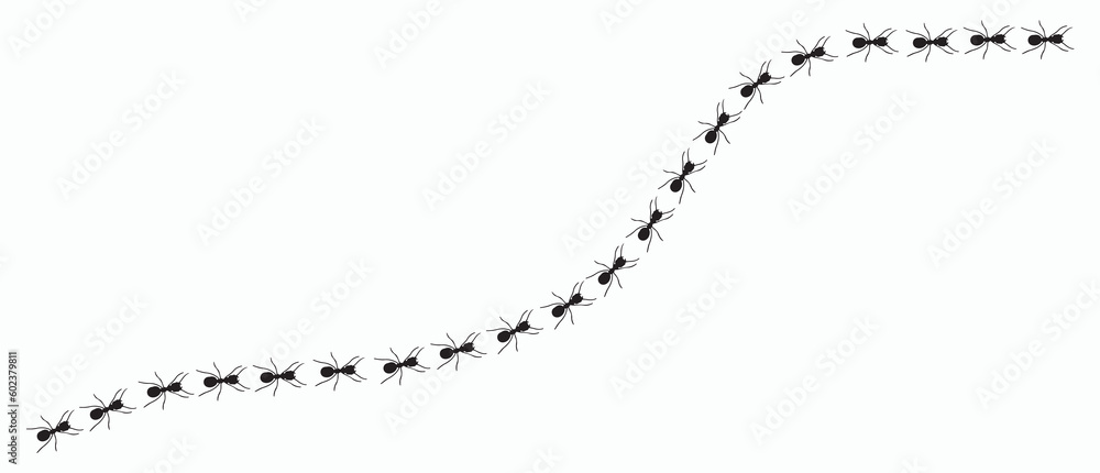 Insect Insects ant ants emmet pismire banner Vector icon icons sign ...