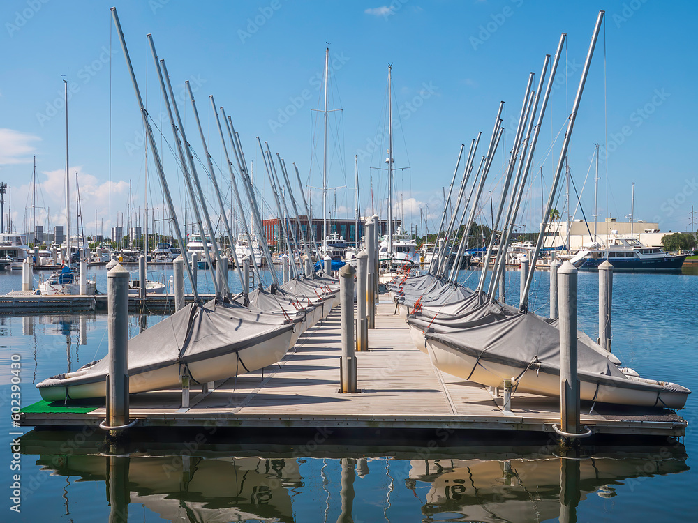 Perspective of a floating dock with covered sailing dinghies used for ...