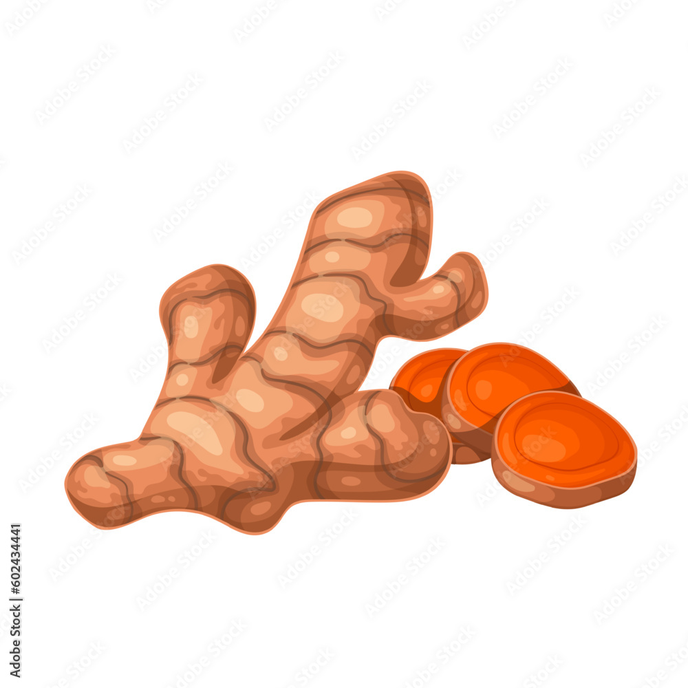 Tumeric whole root and slices vector illustration. Cartoon isolated ...