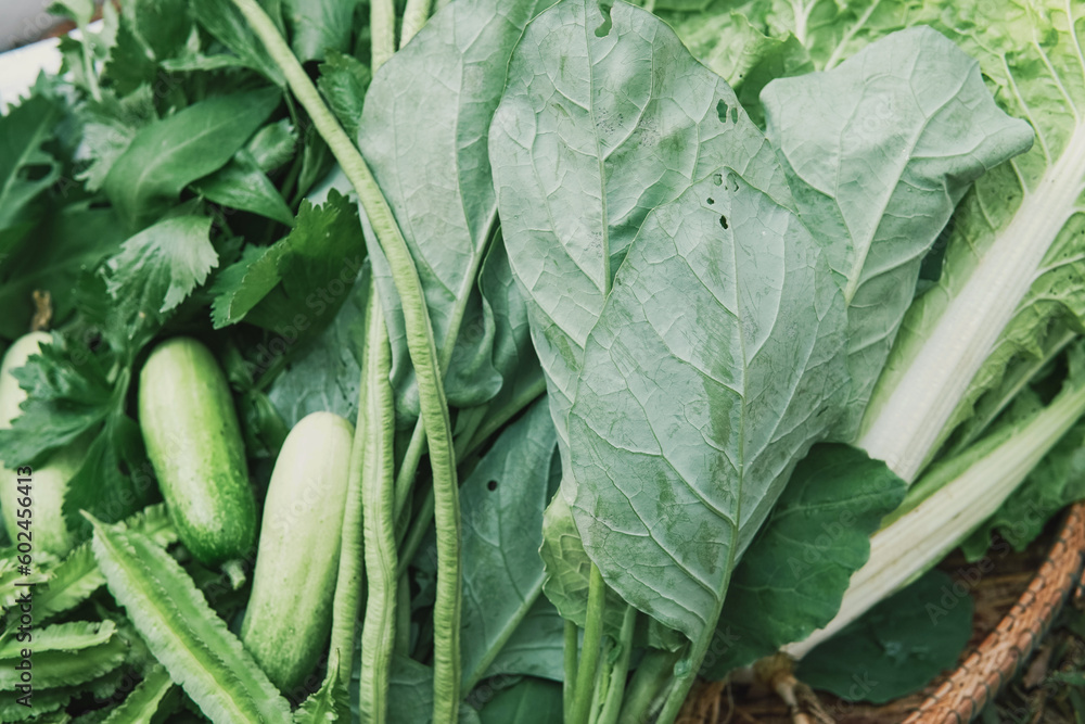 Fresh green vegetables in basket, support local famer, share produce ...