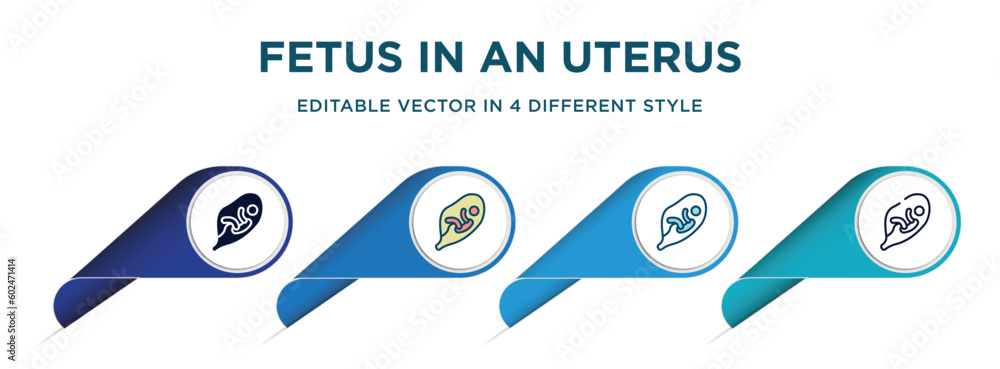 fetus in an uterus icon in 4 different styles such as filled, color, glyph, colorful, lineal ...