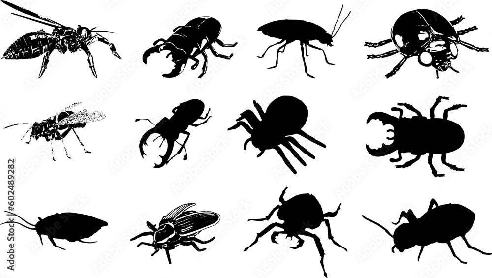 Insect Shadows Silhouette of Mosquitoes, Bees, Cockroaches, Spiders ...