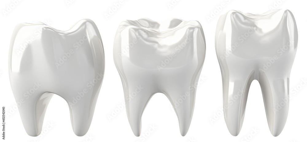 Set of white teeth models cut out. Dental health and hygiene concept ...