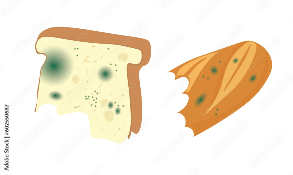 Moldy bread vector set. Inedible bread with mold illustration. Organic ...