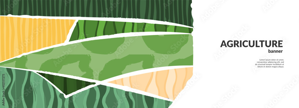 Green abstract agriculture field vector background. Agro banner ...
