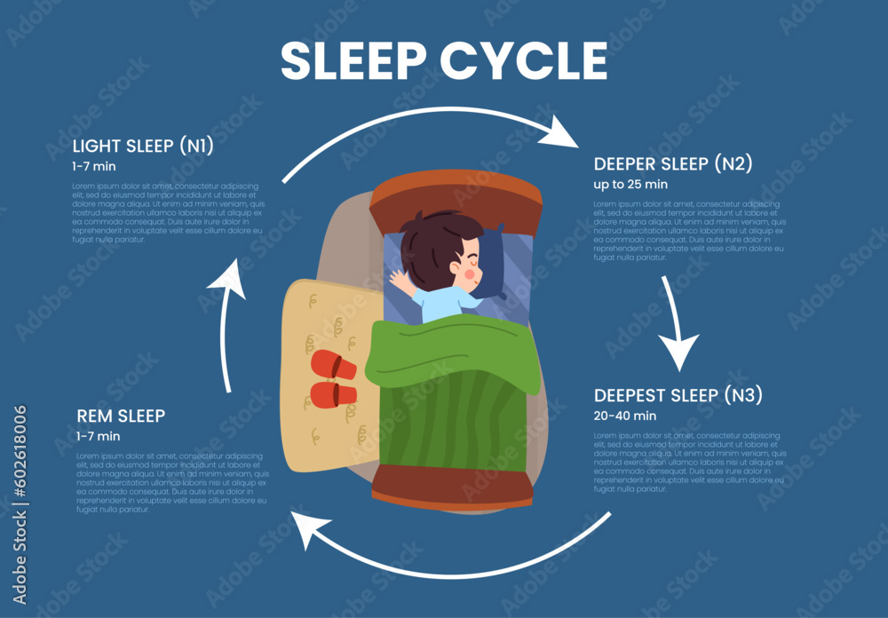 Sleep cycle infographic, child peacefully sleeping in bed, flat vector ...