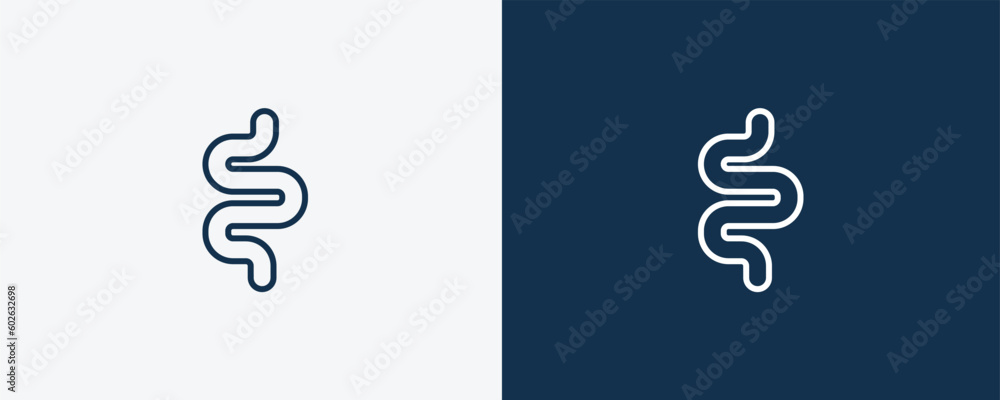 intestine icon. Outline intestine icon from medical collection. Linear ...