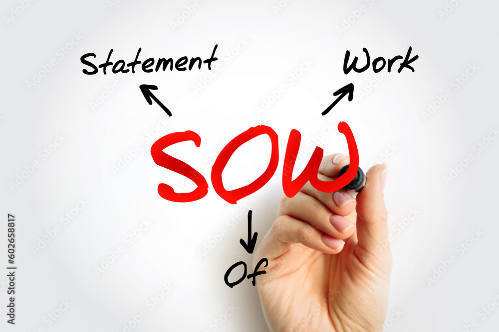 SOW Statement Of Work - document routinely employed in the field of ...