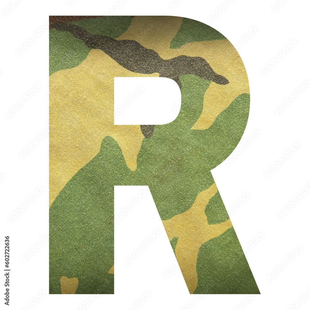 letter of R fill with army design on white background, word of R army ...