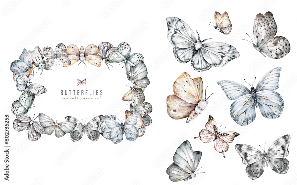 Black and white butterflies watercolor rectangular frame for text ...