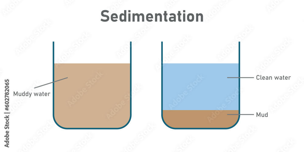 Sedimentation Process