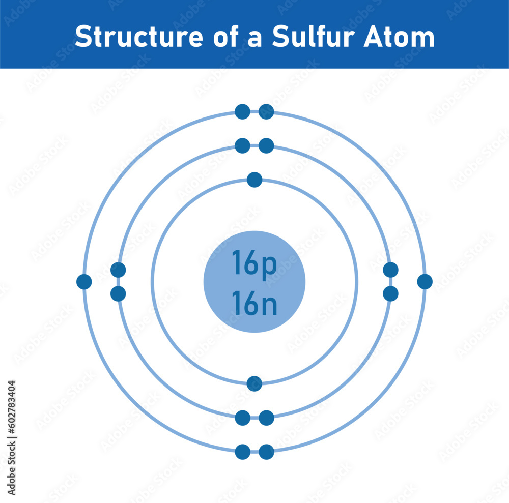 Atomic structure of a sulfur atom. Bohr atom. Vector illustration ...