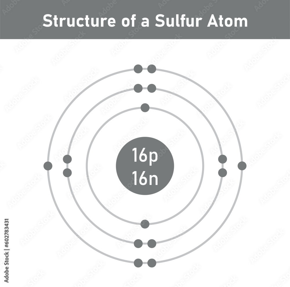 Atomic structure of a sulfur atom. Bohr atom. Vector illustration ...
