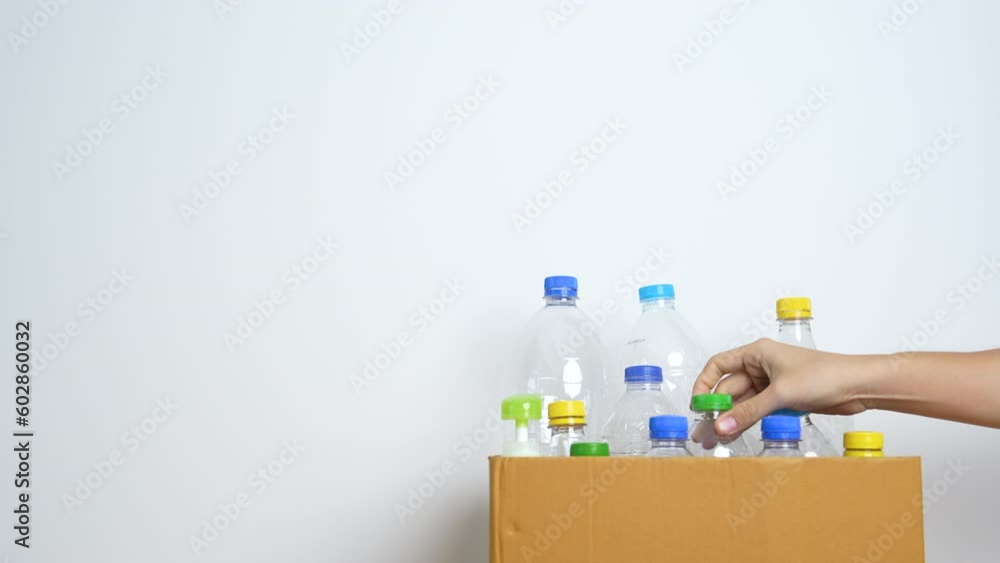 Volunteer keep plastic bottle into paper box at home or office. Hand ...