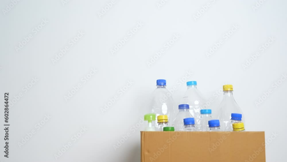 Volunteer keep plastic bottle into paper box at home or office. Hand ...