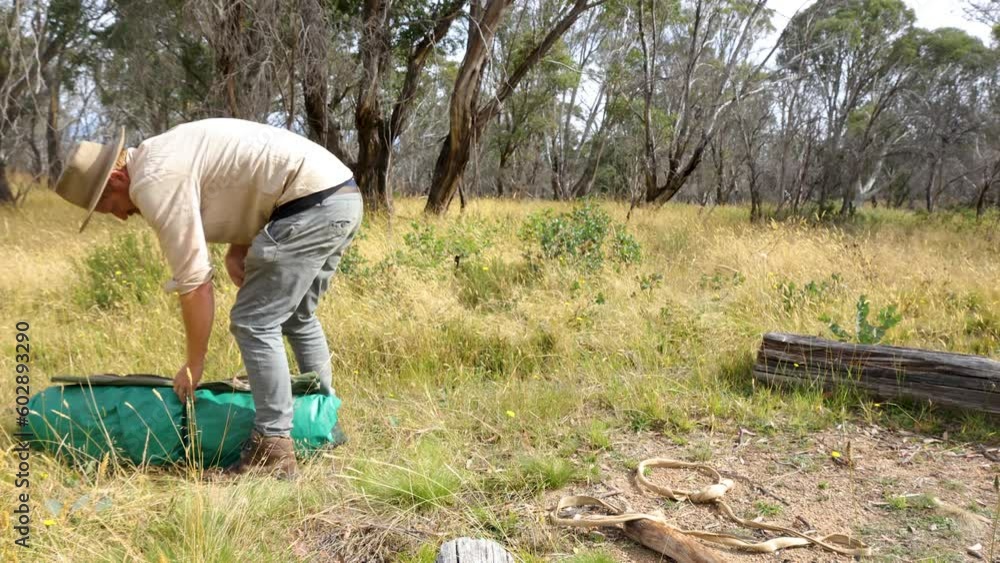 An Australian bushman unrolls his traditional swag sleeping set up in ...