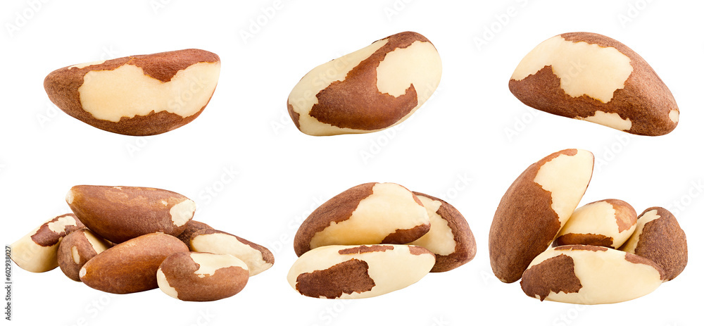 brazil nut, isolated on white background, full depth of field Stock ...