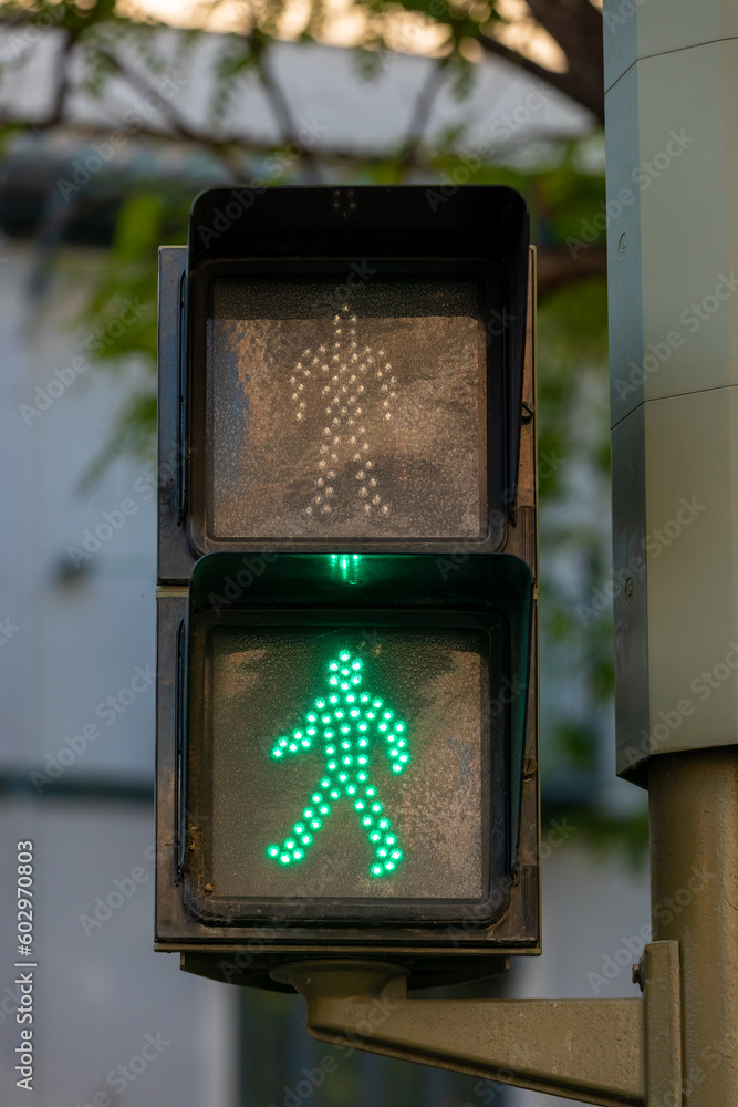 Green Man Walking: Pedestrian Traffic Lights Ensuring Safety in Urban ...