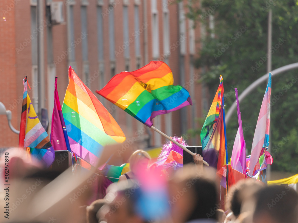 Pride day 2023. People at the pride parade with LGBTIQ flags ...