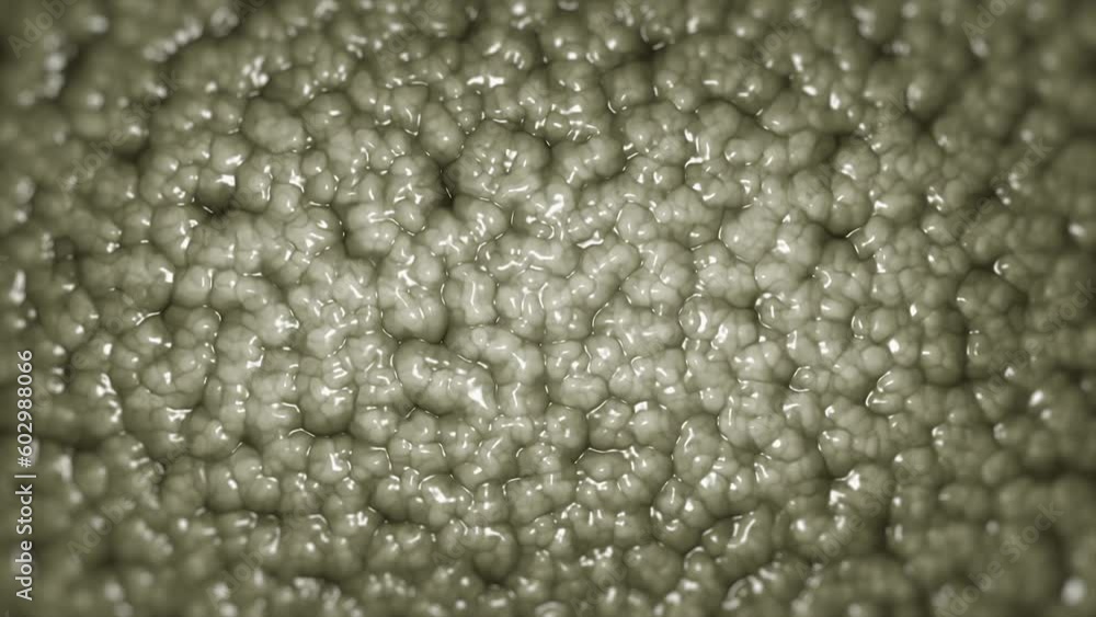 Viscous Maggot Swarming Background/ 4k animation of a slimy maggot and ...