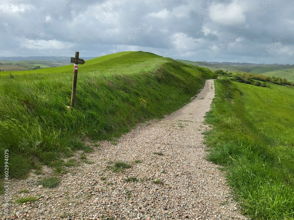sentiero sterrato della via francigena tra i campi verdi della toscana ...