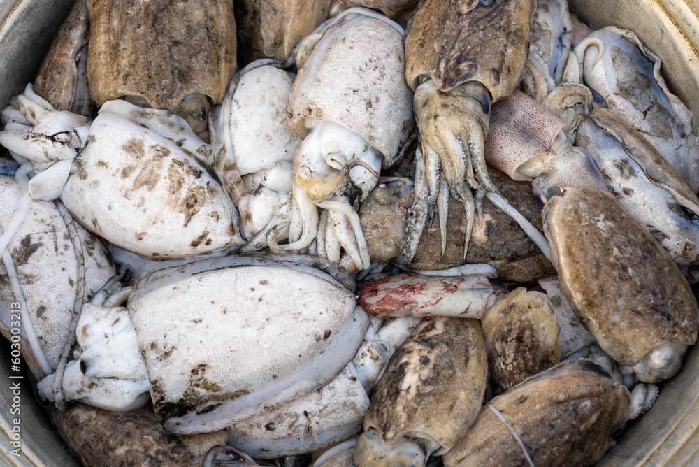 Junglighat, located in Port Blair, the main city of the Andaman Islands ...