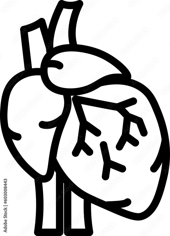heart line icon. Symbol of body organs. In a transparent background ...