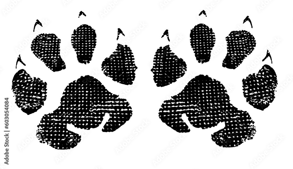 Animal footprint on transparent background (PNG File) Stock ...